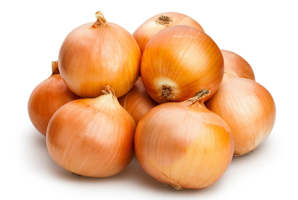 1# Yellow Onions | Bluebird Farm and Gardens
